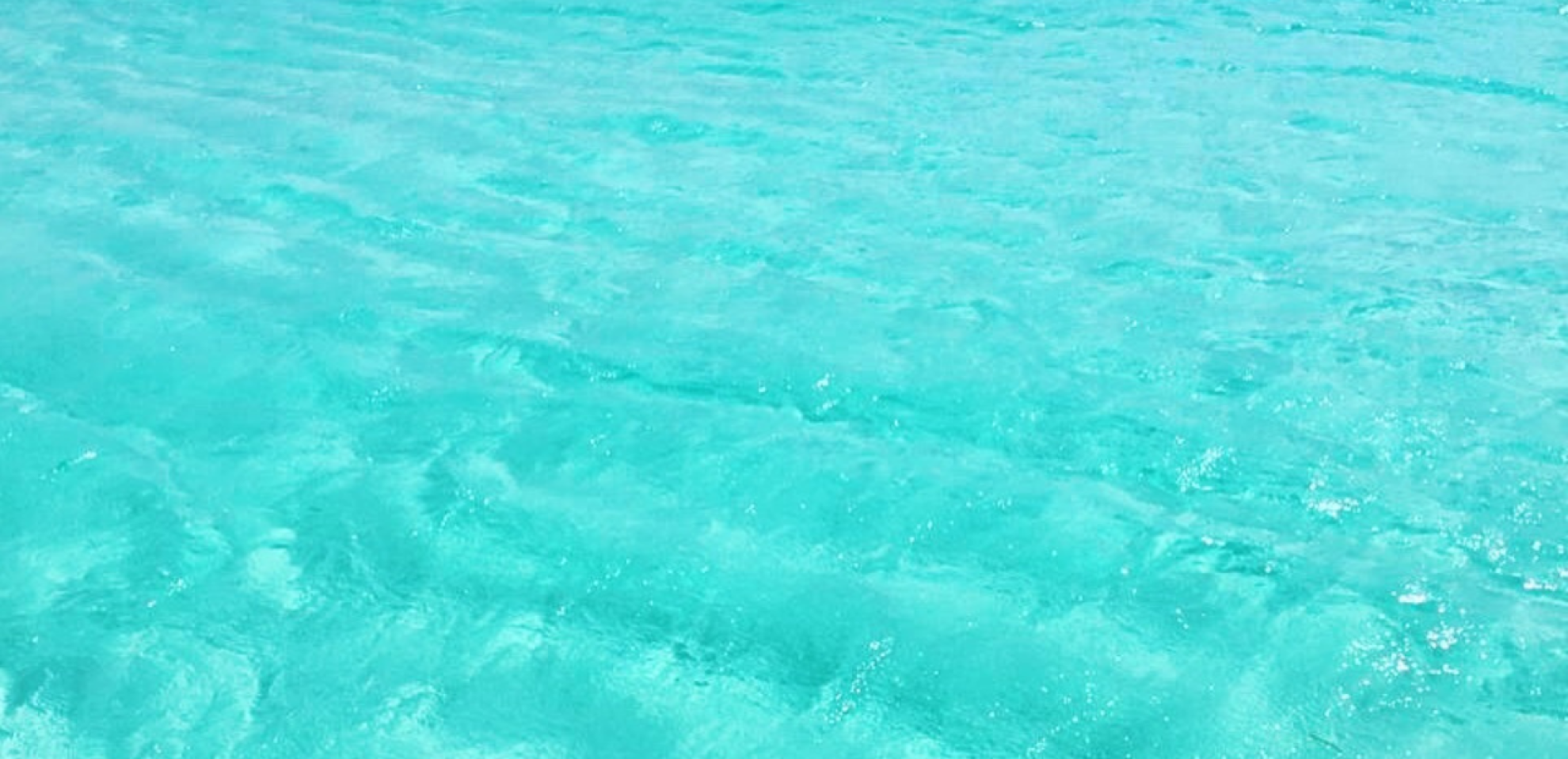 cropped-tropical-happiness-zoom-virtual-background-2.png – VIP Tours ...